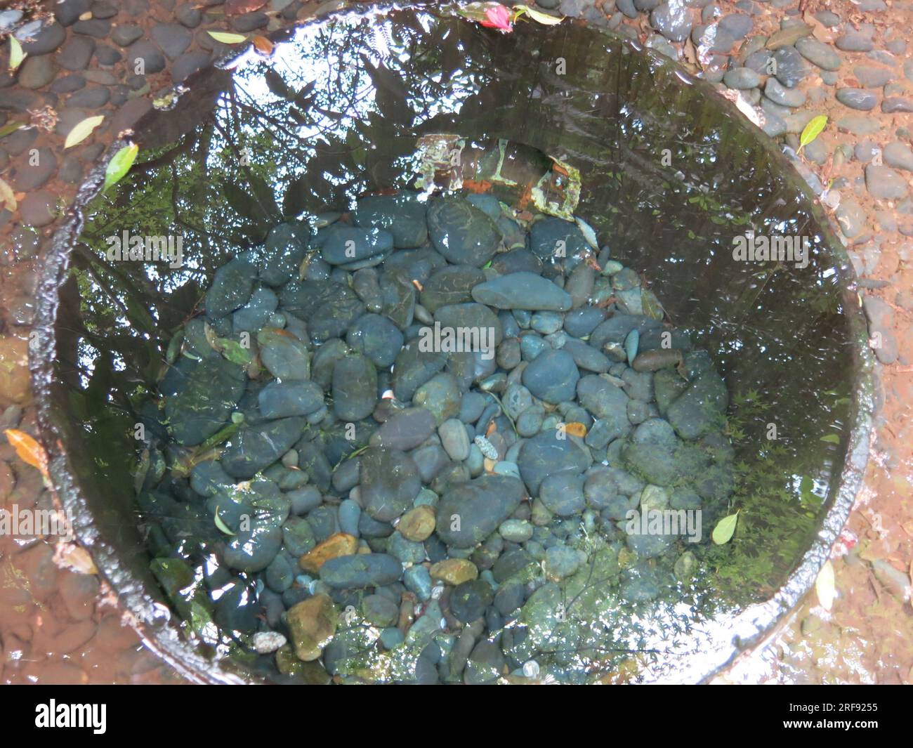 The Kiyomasa no Ido Well in the Meiji Shrine Garden is famed for its ...