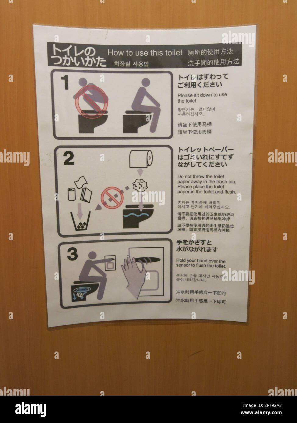 "How to use this toilet", a public information poster in English ...