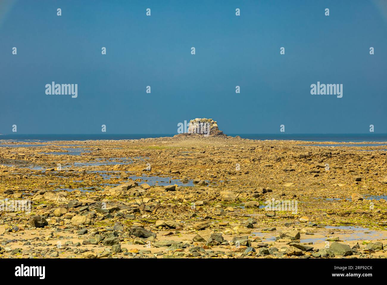 Small discovery tour to the peninsula Sillon de Talbert in beautiful ...