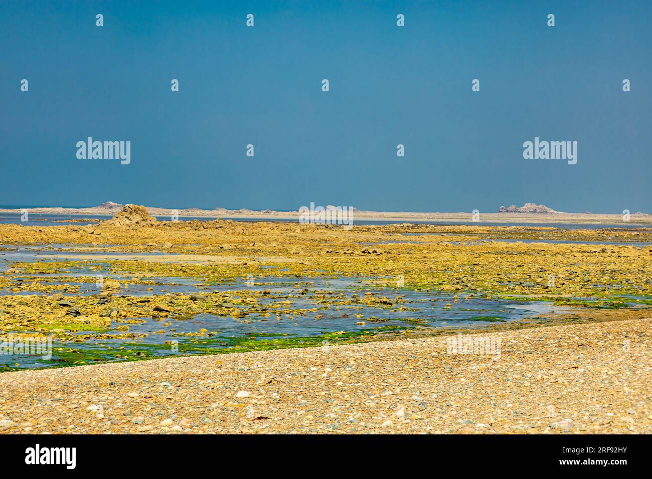 Small discovery tour to the peninsula Sillon de Talbert in beautiful ...