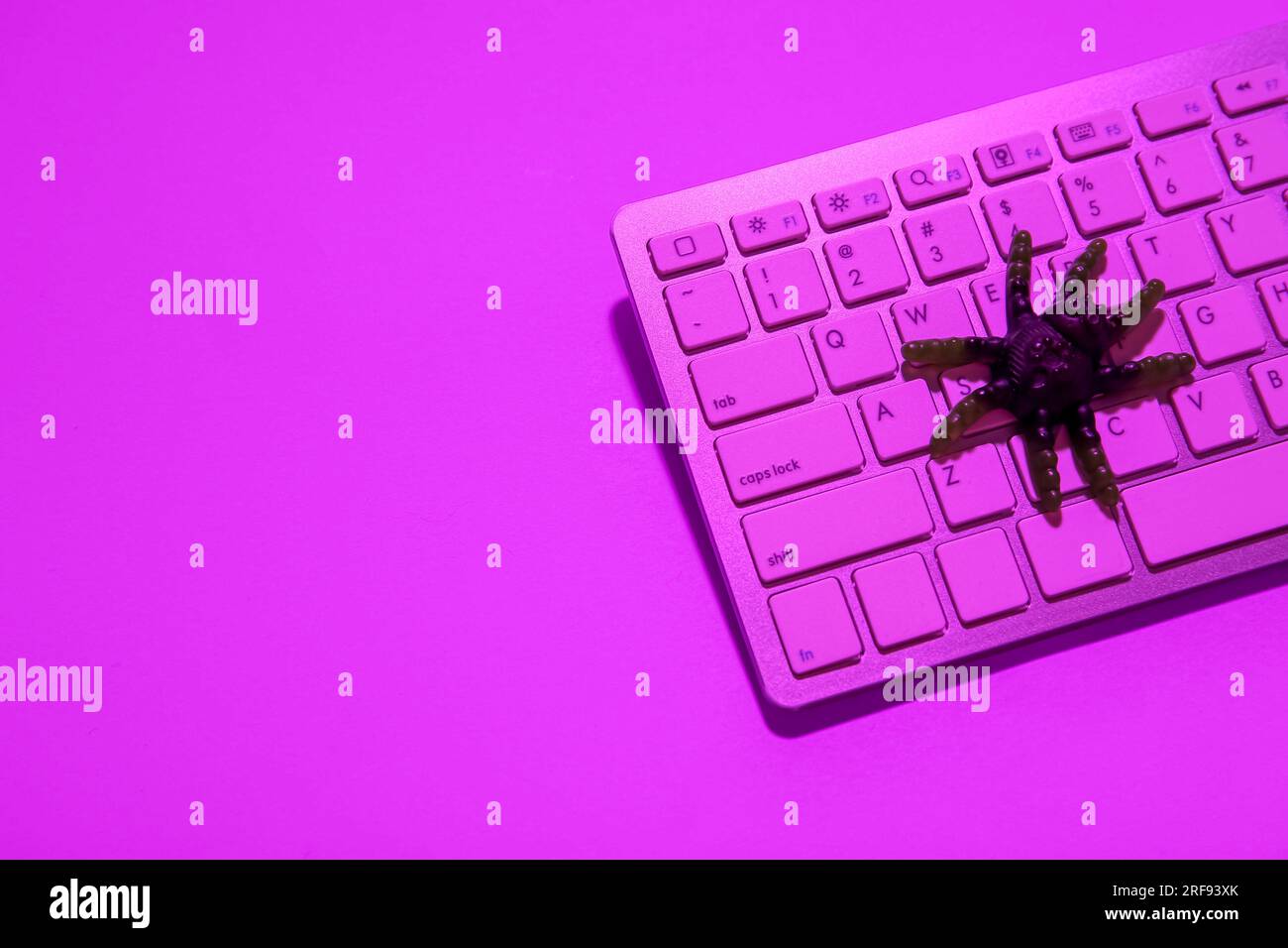 Modern computer keyboard and tasty candy in shape of spider for ...