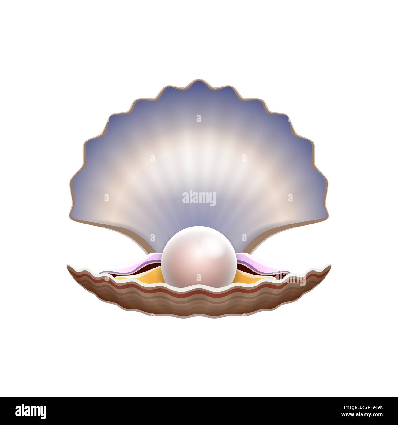 Open Scallop Shell Clipart Clipart Scallop Shells Clip Art Scallop