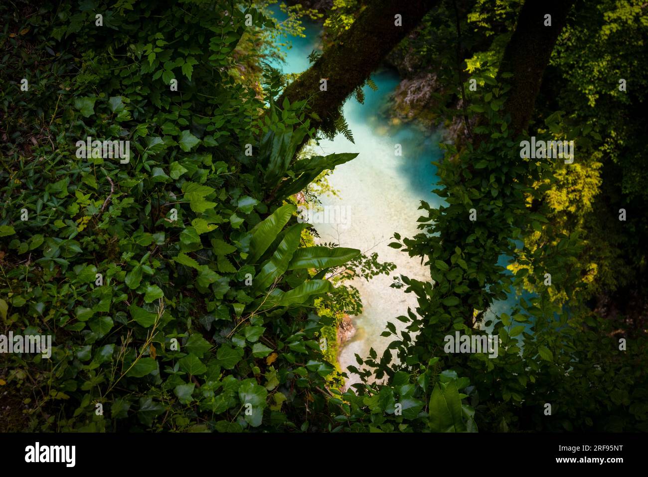 Wild landscape of crystal clear Soca river, one of the most beautiful ...