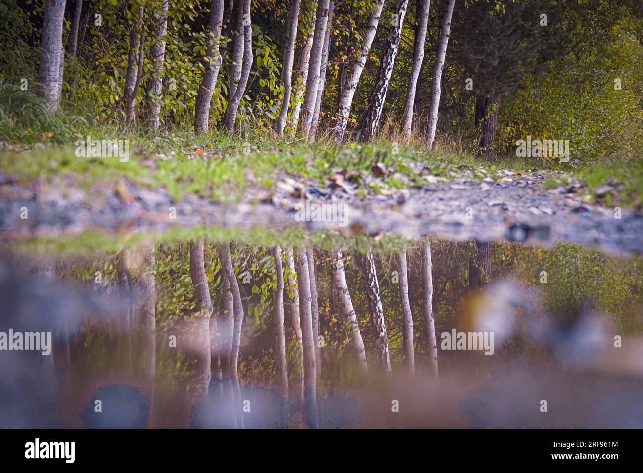 Puddle on the ground hi-res stock photography and images - Alamy