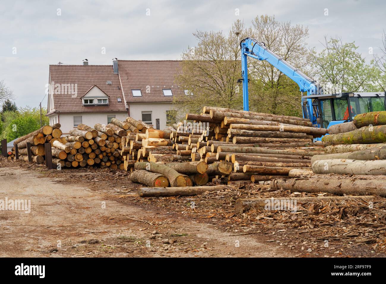 Lumber - tree logs sawn and prepared for loading, loading equipment ...