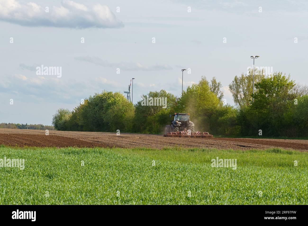In the foreground is a field with green grass. On the field, the ...