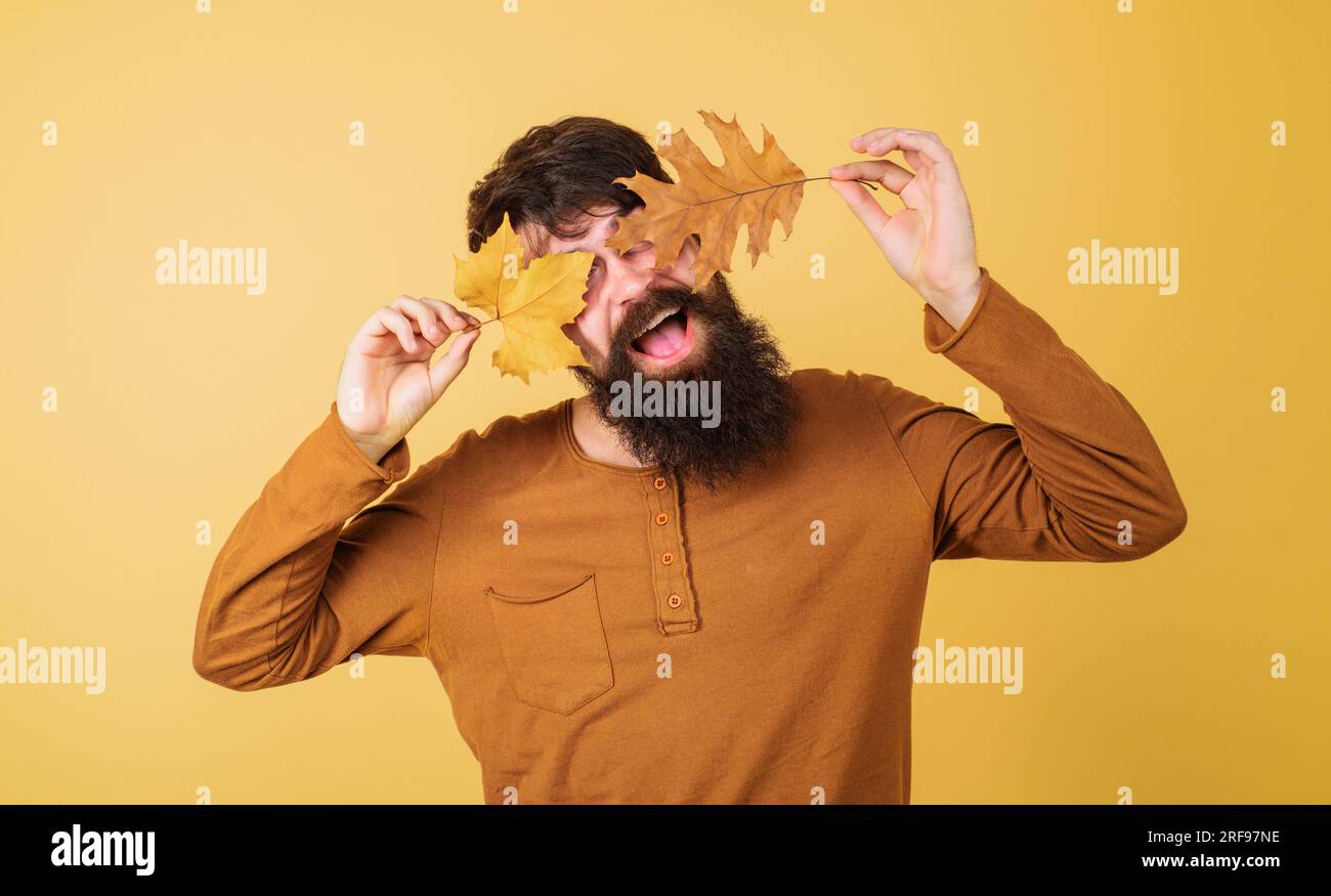 Happy bearded man with yellow leaves. Handsome guy covered eyes with ...