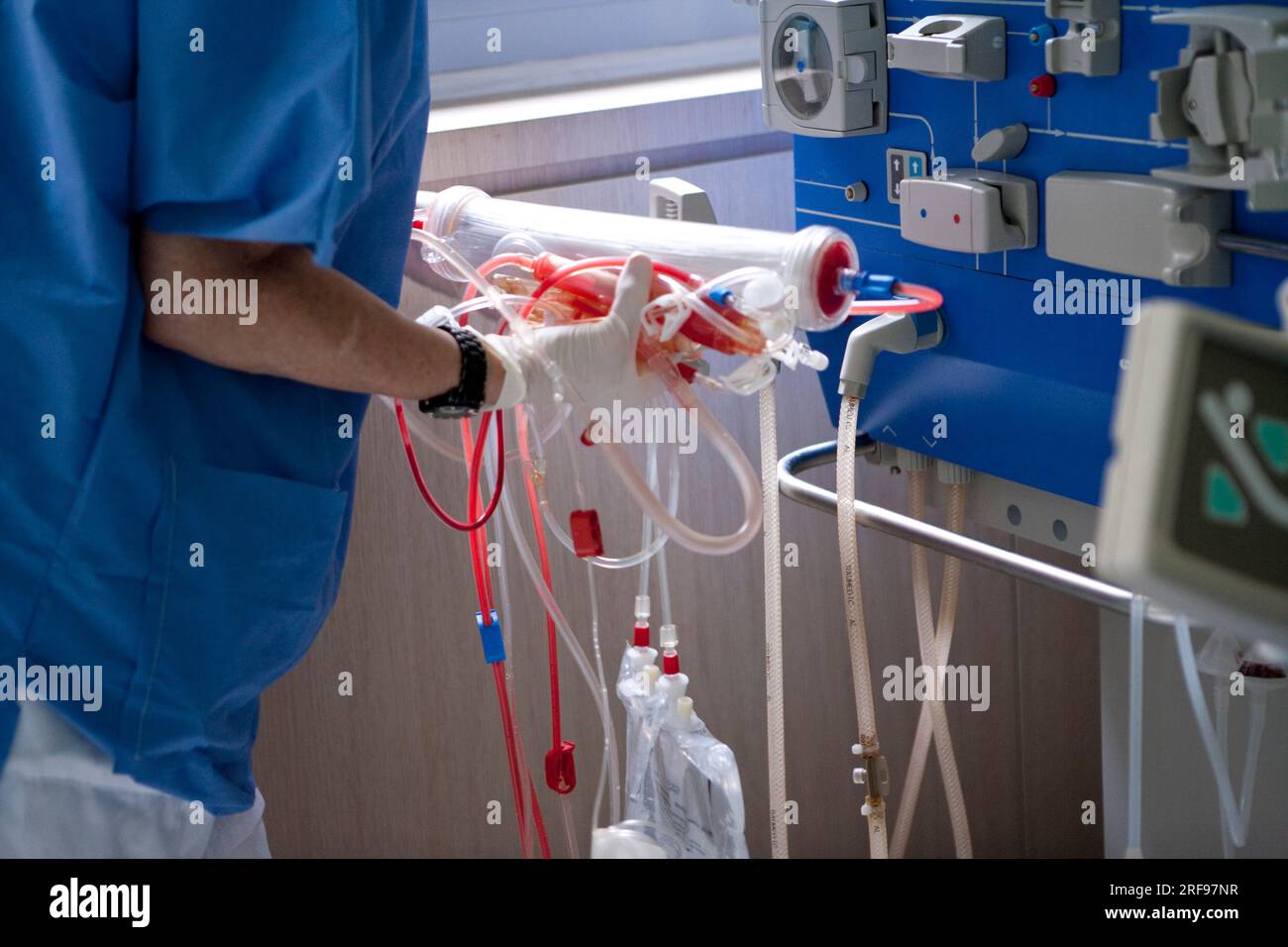 Hemodialysis in the nephrology department of a day hospital, nurse ...