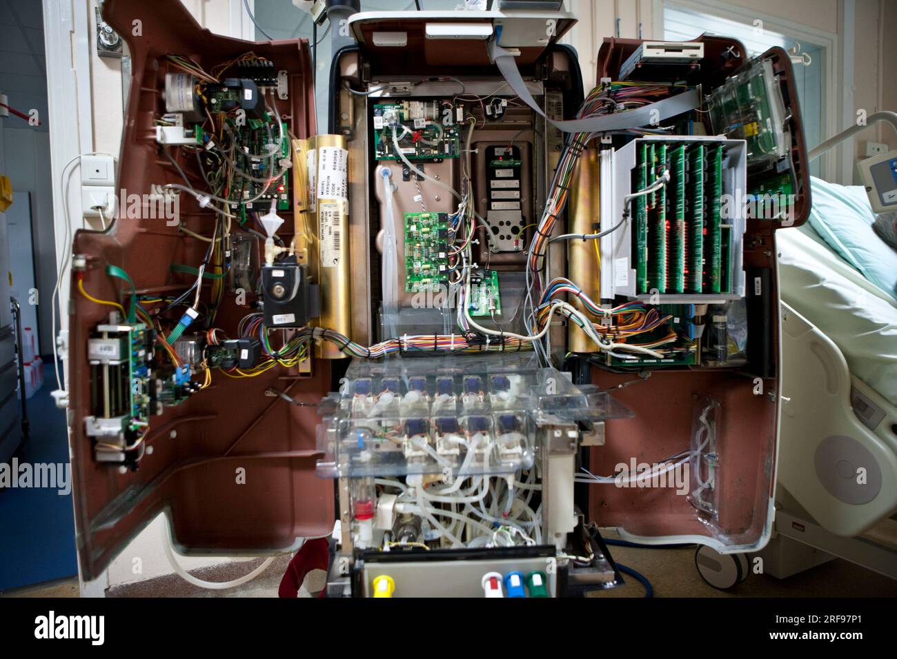 Repair and maintenance of a dialyzer for hemodialysis in the nephrology ...