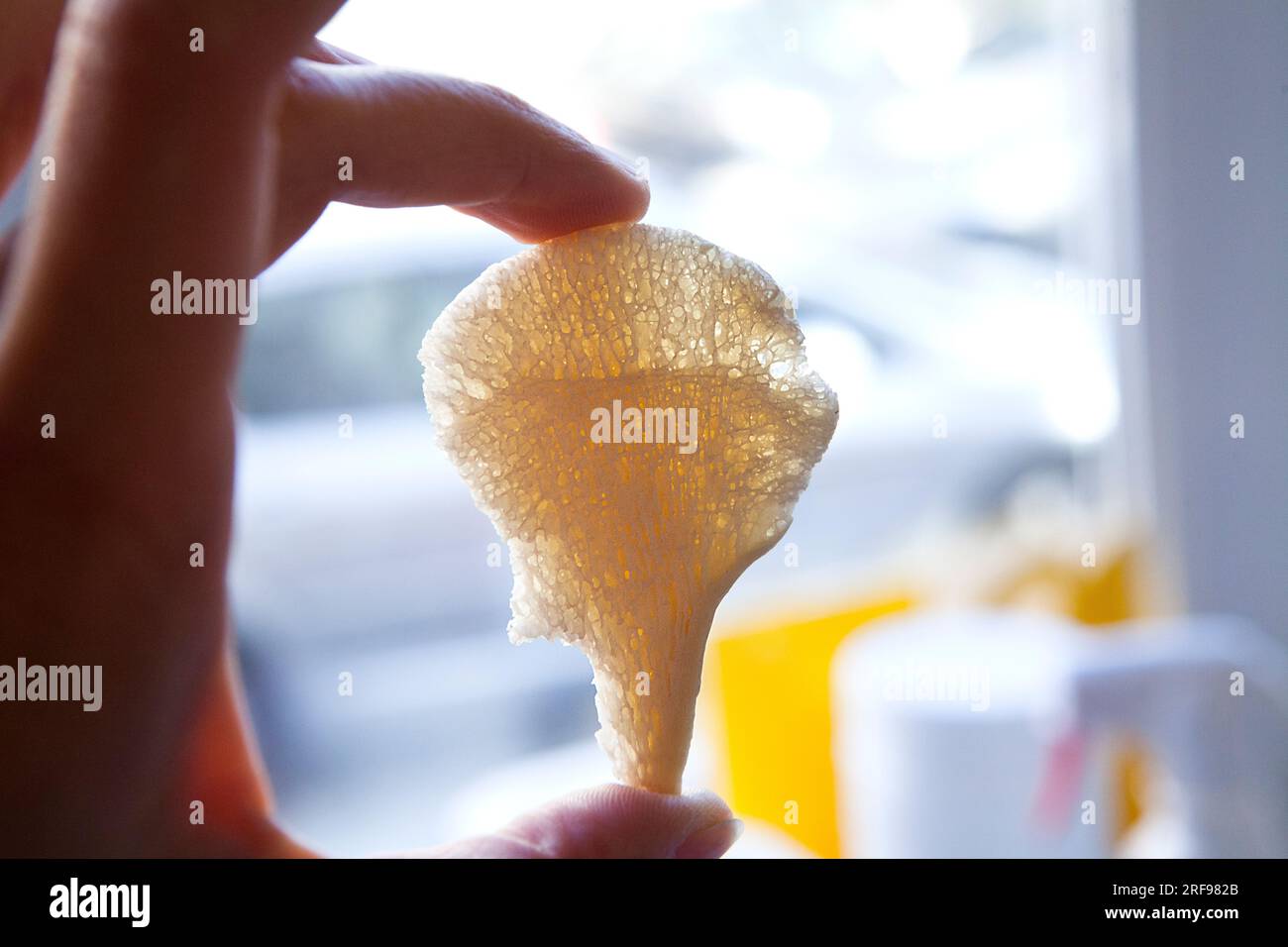 Human tissue bank hi-res stock photography and images - Alamy