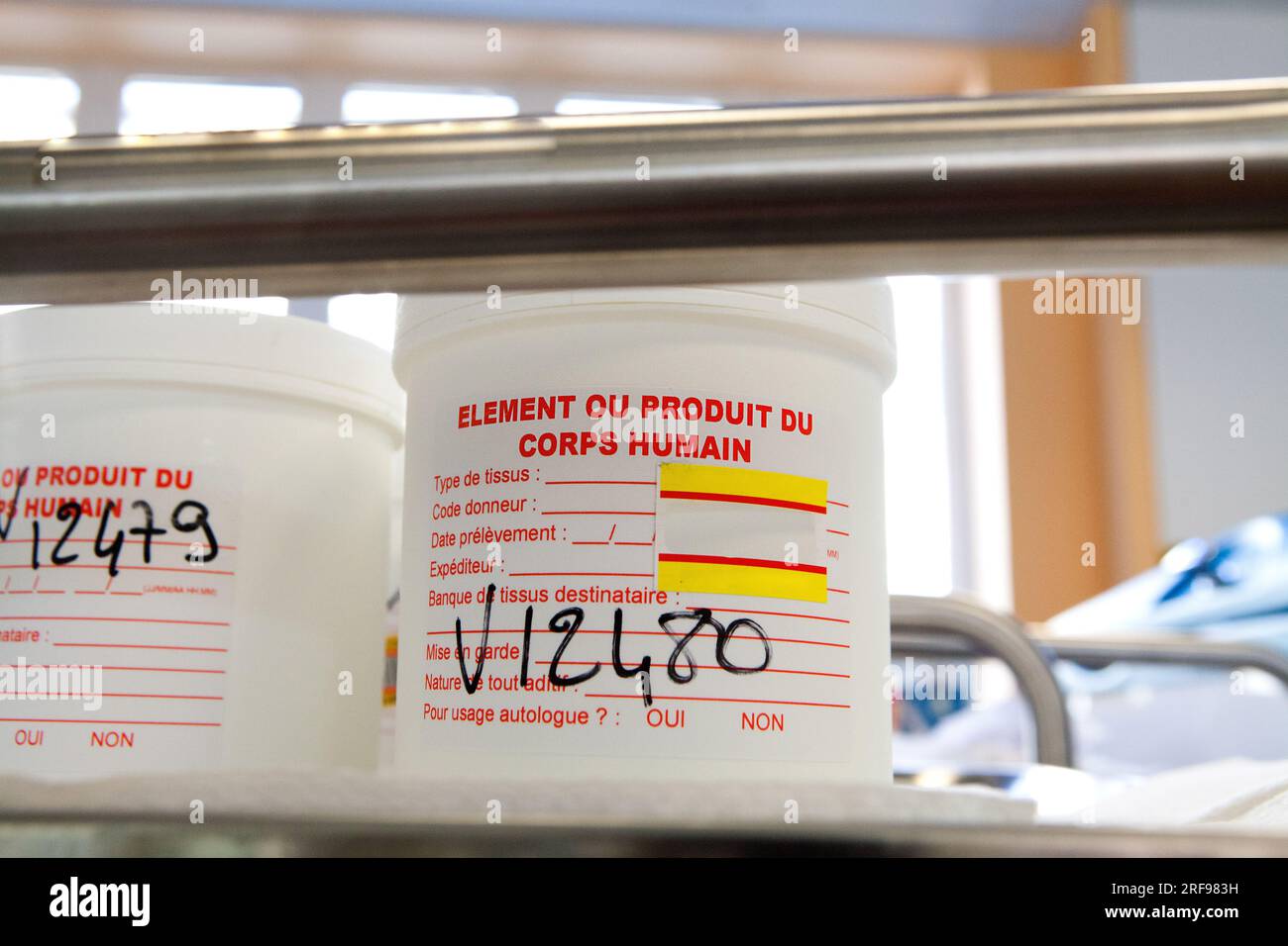 Human tissue bank hi-res stock photography and images - Alamy