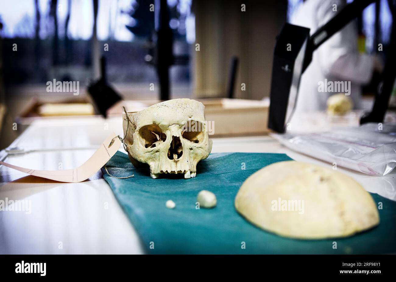 Criminal research by the forensic science in the anthropology ...