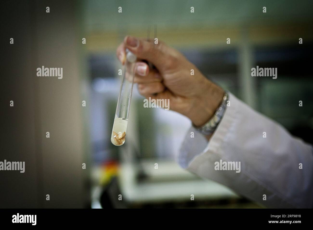 Criminal research and entomology: dating of death from the study of ...