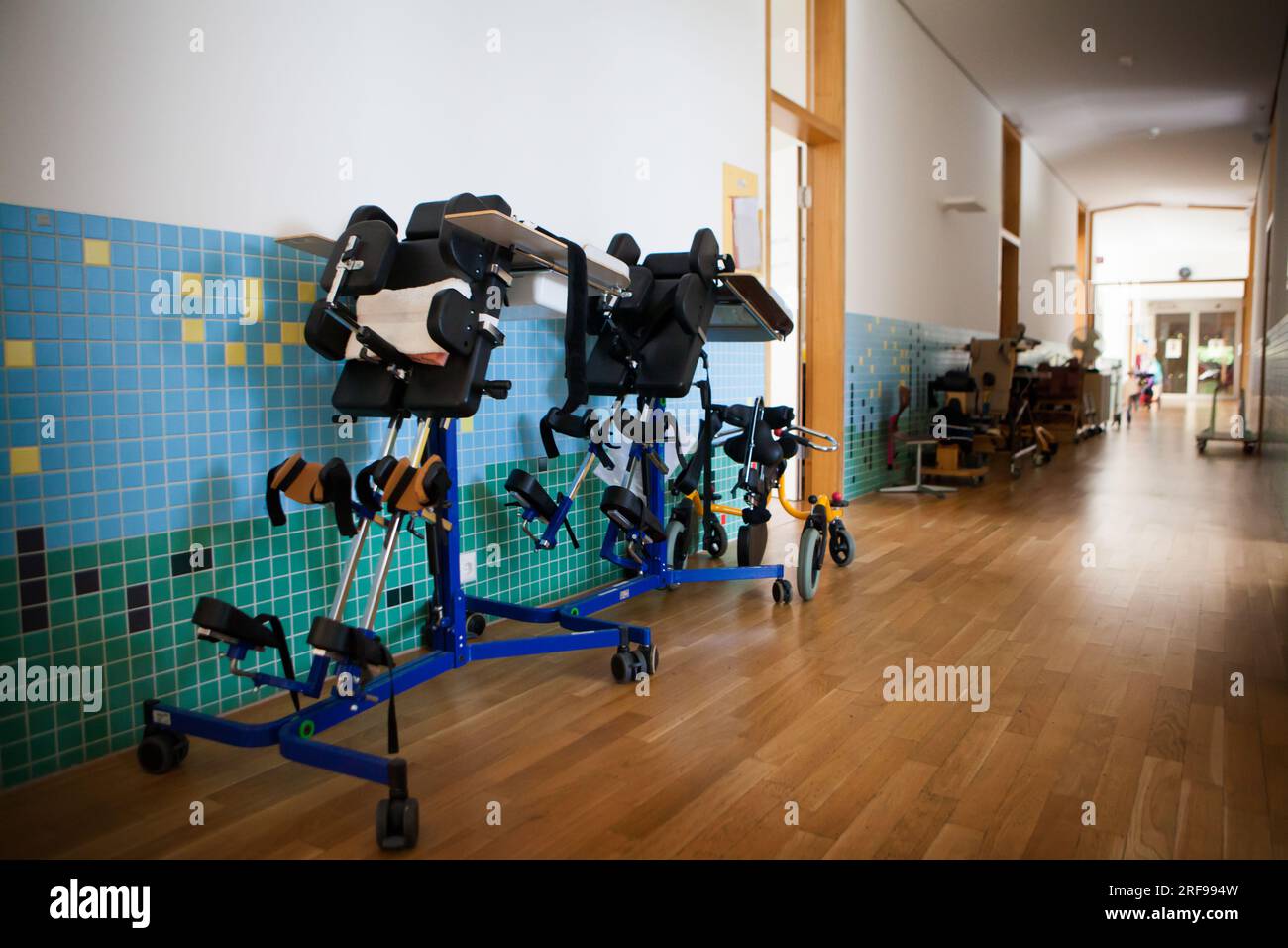 Reception structure for children with multiple disabilities in France ...