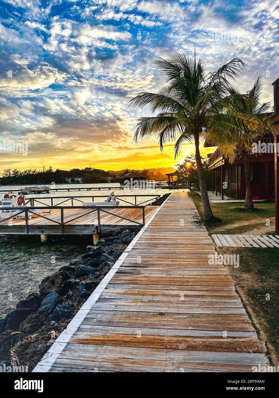 Colorful sunset with palm trees on the southern shore of Roatan in the ...
