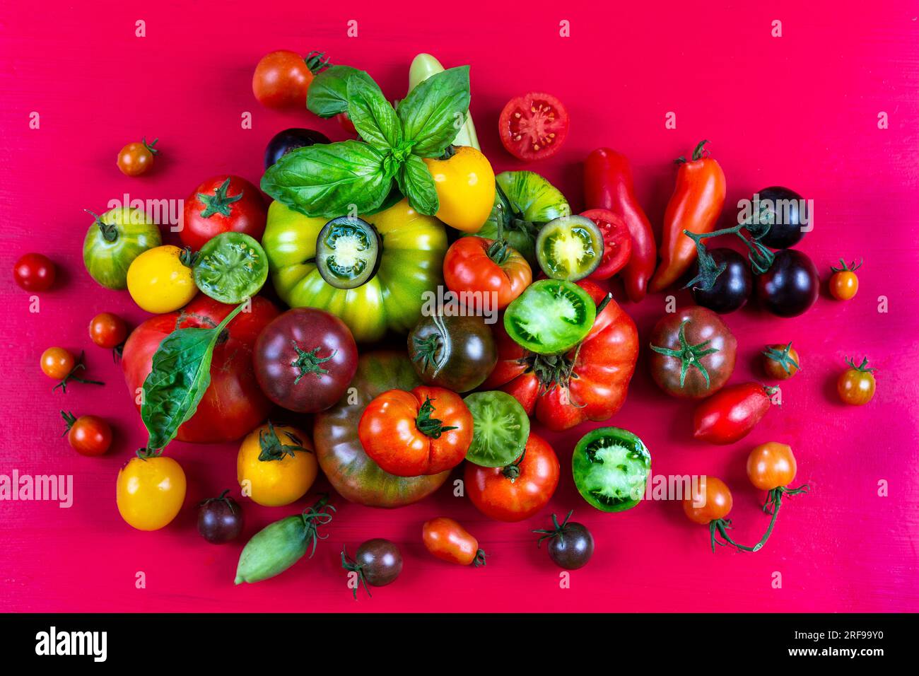 Tomatoes of different ancient species placed on a bright red background ...