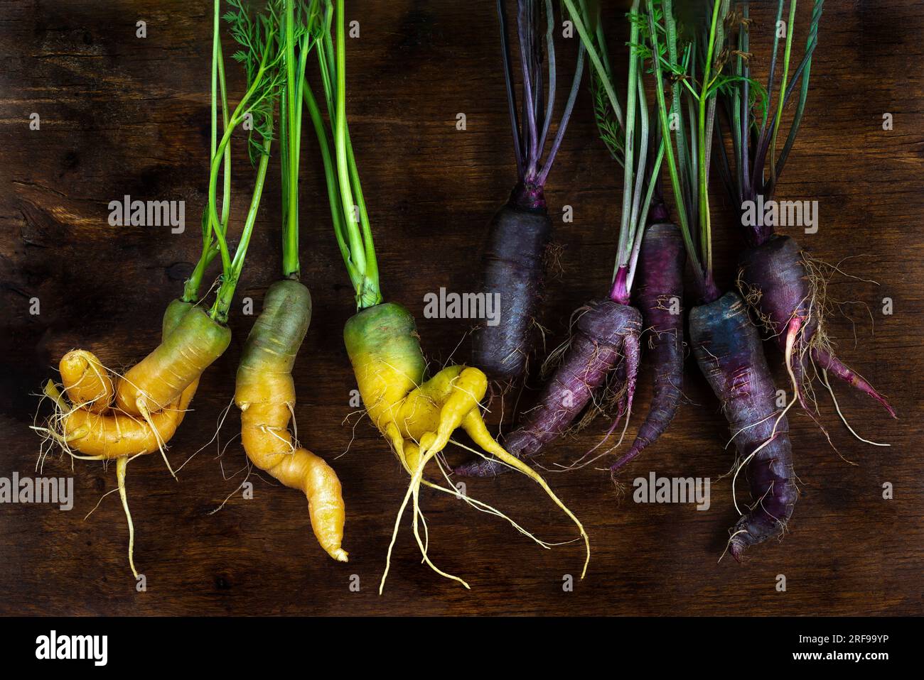 Two boots of old carrots seen g high on an old brown board Stock Photo ...