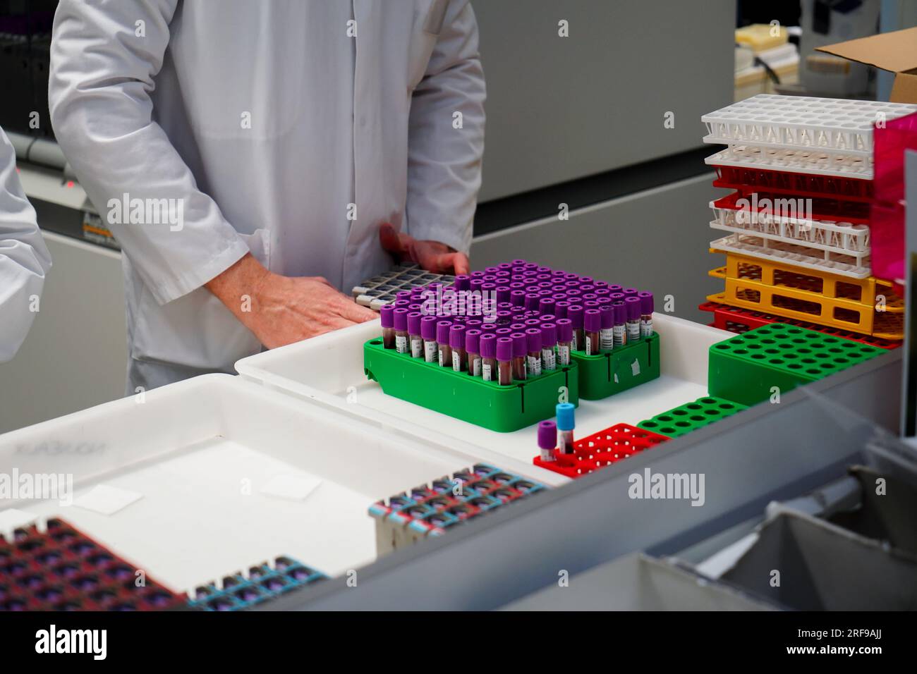 Technical platform of the Inovie 34 laboratory . Sorting sample tubes from other laboratories ...
