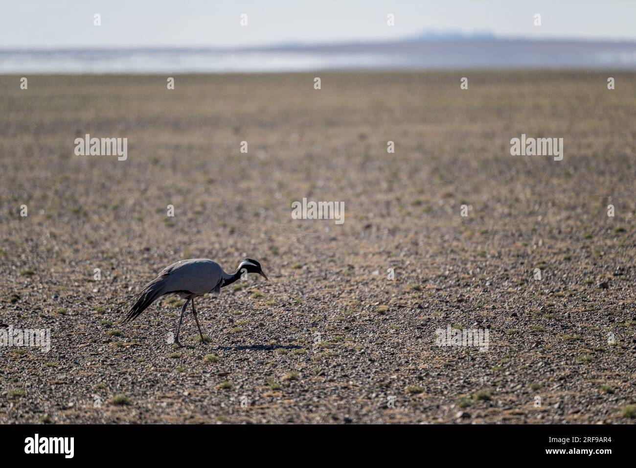 Crane cove hi-res stock photography and images - Alamy