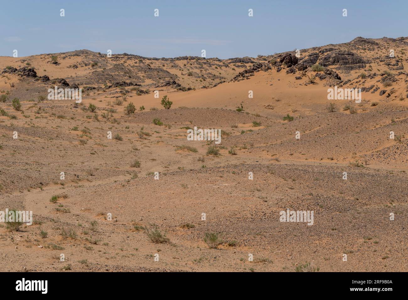 Dry landscape mongolia hi-res stock photography and images - Alamy