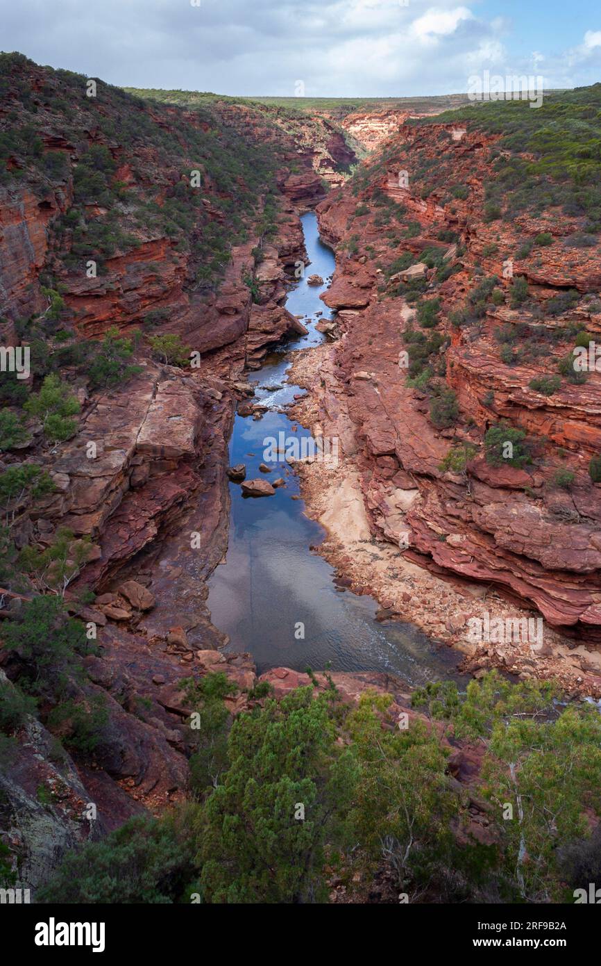 Z bend lookout over the Murchison river gorge in Kalbarri national park ...