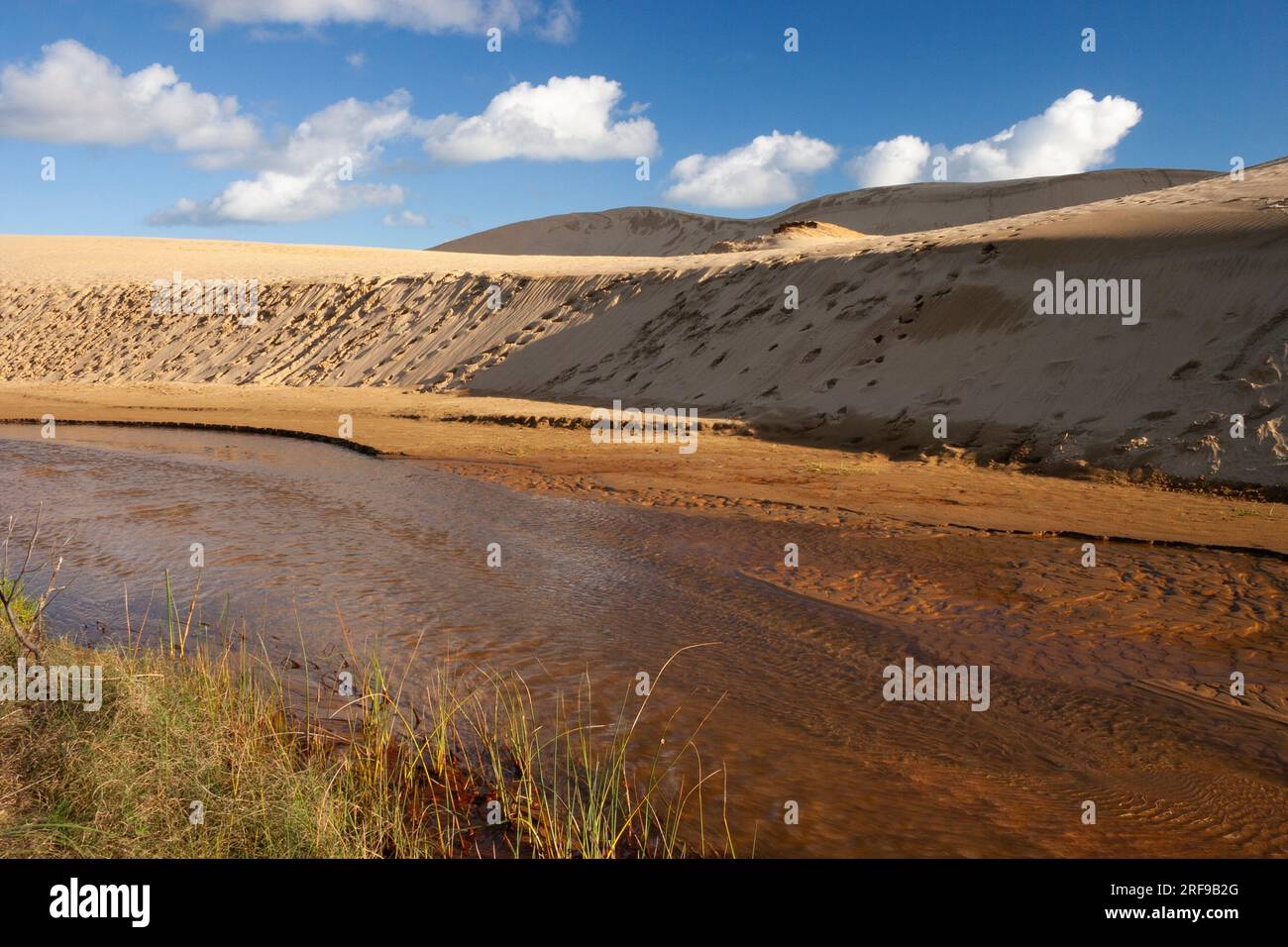Aupouri sand dunes hi-res stock photography and images - Alamy