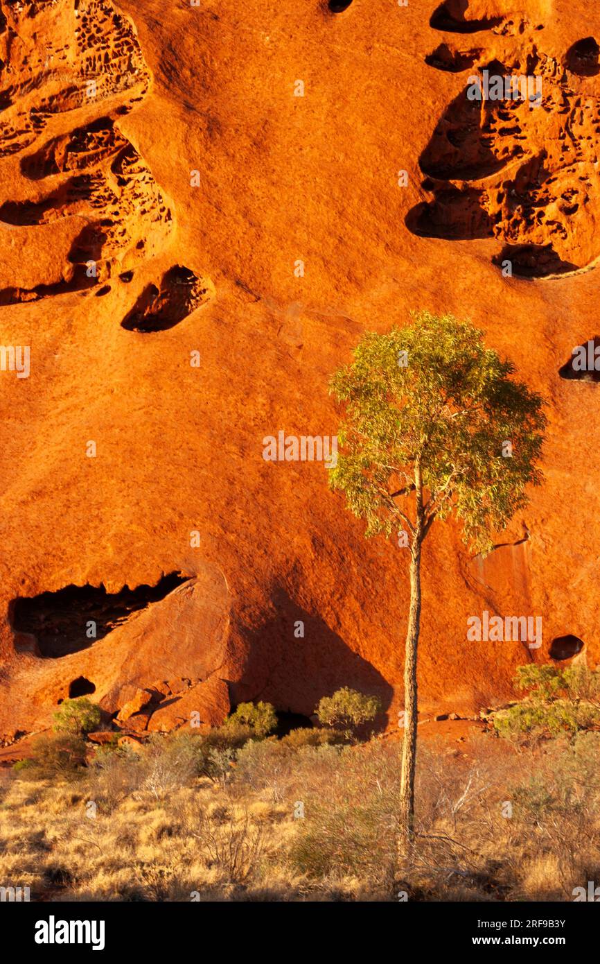 Base walk around Uluru in the red centre of the Northern Territory in ...