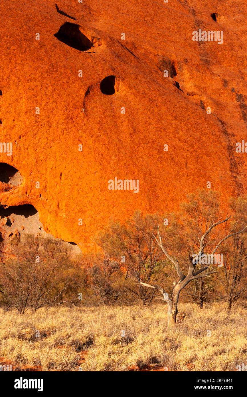 Base walk around Uluru in the red centre of the Northern Territory in ...
