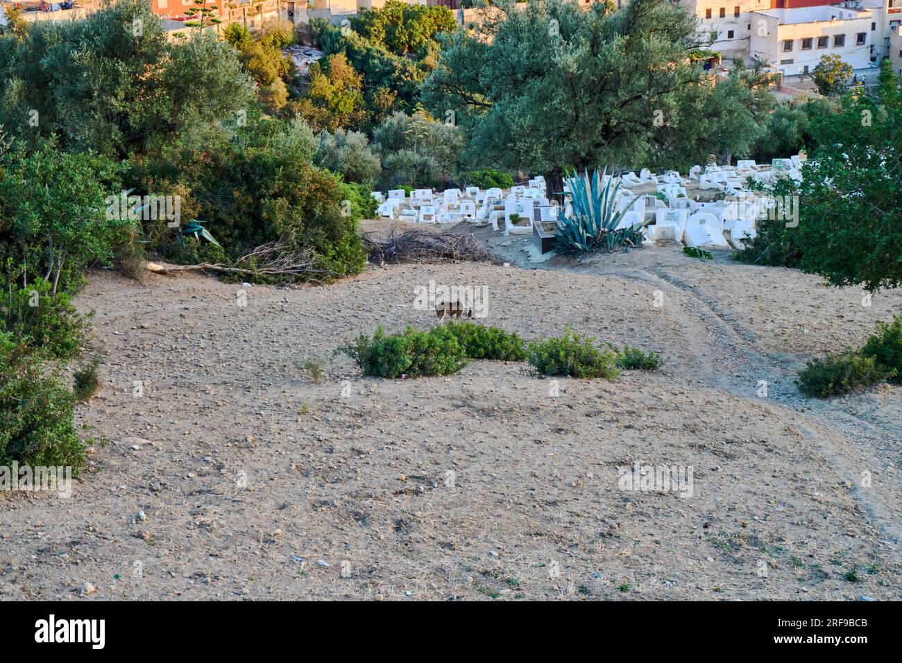 Graveyard morocco hi-res stock photography and images - Alamy