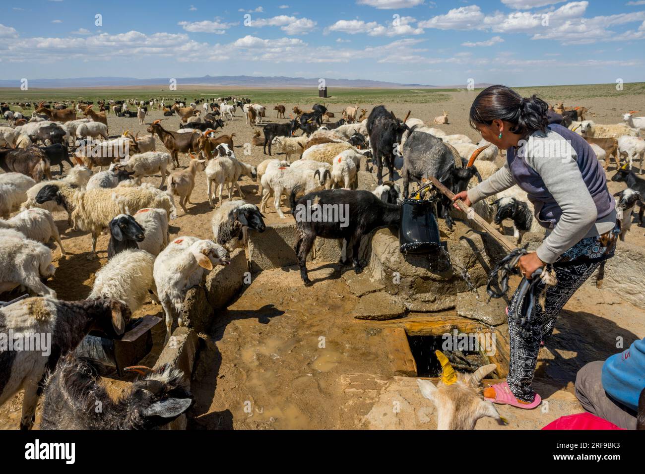 Pulling water from well hi-res stock photography and images - Alamy
