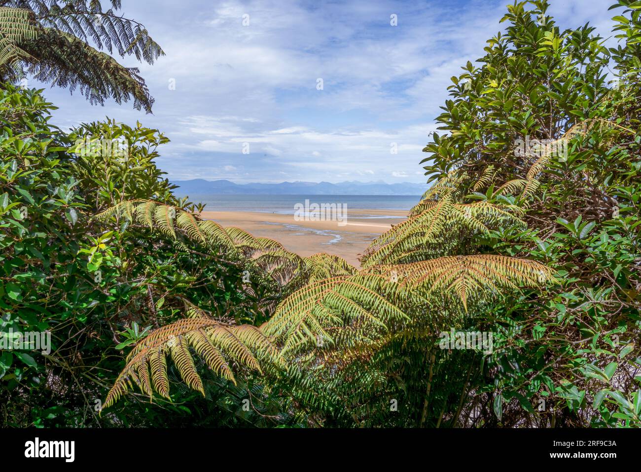 sea view through bushes Stock Photo - Alamy