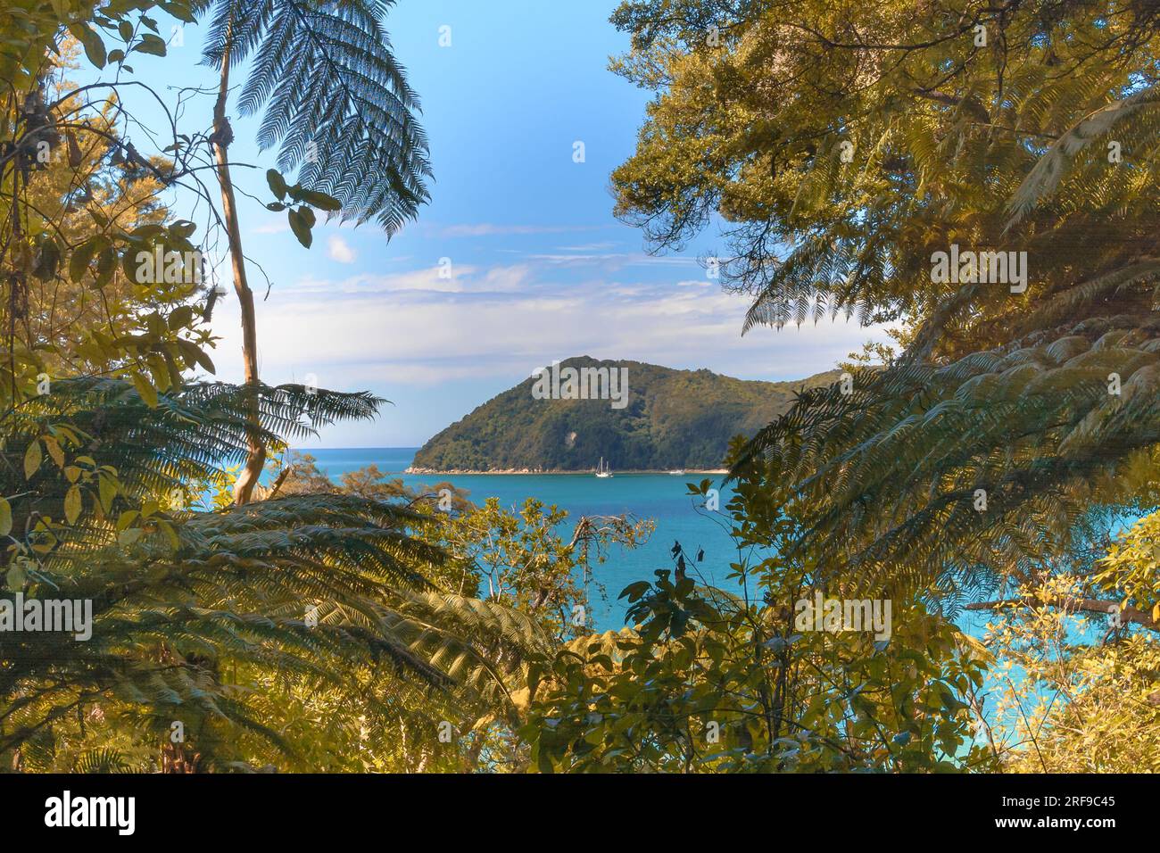 view through bushes in Abel Tasman national park Stock Photo - Alamy