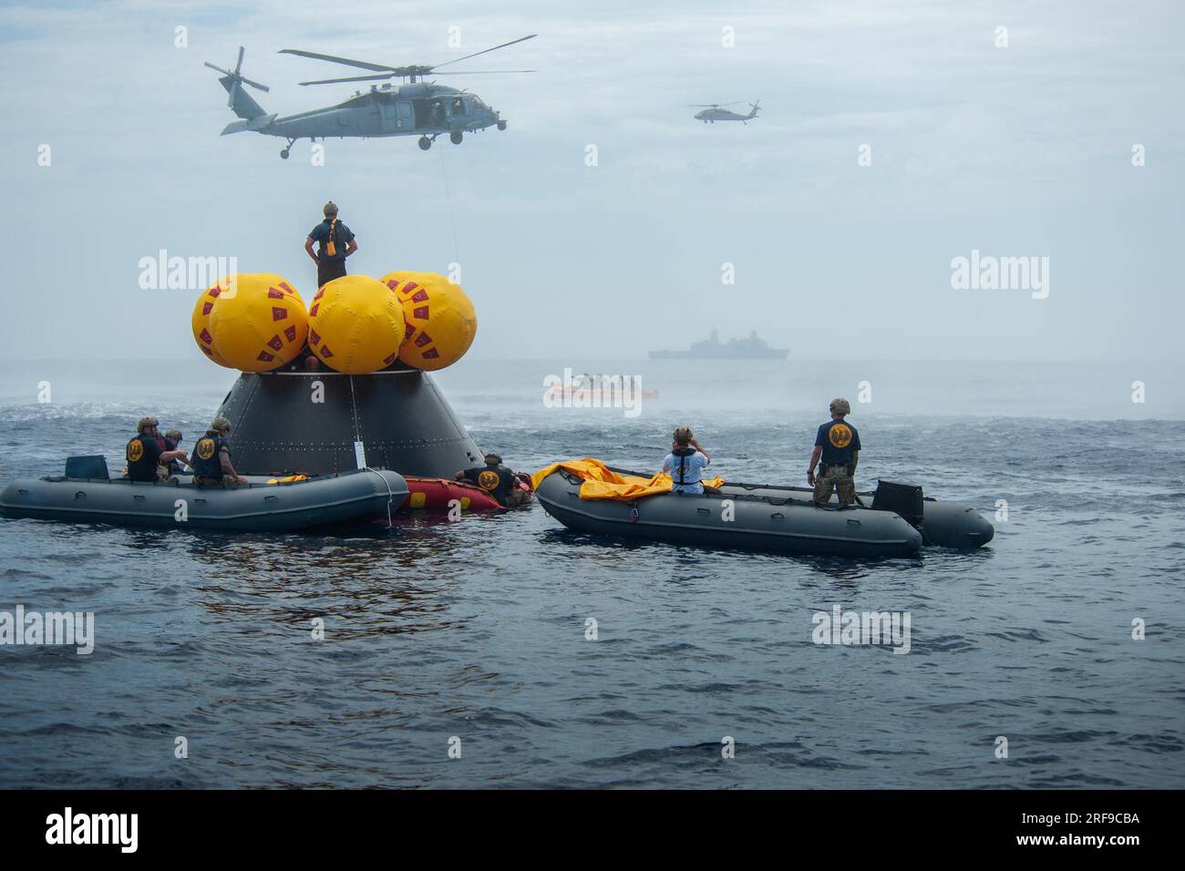 Hsc 23 wildcards hi-res stock photography and images - Alamy