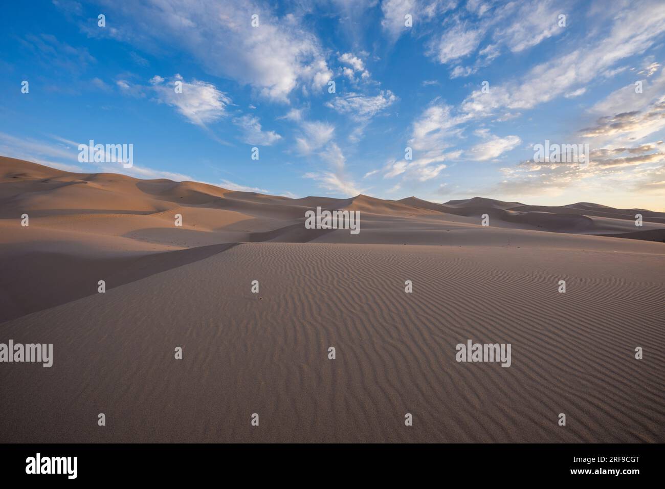 Evening light on the Hongoryn Els sand dunes in the Gobi Desert, Gobi ...