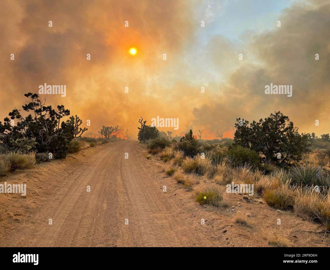 Mojave National Preserve, California, USA. 1st Aug, 2023. A massive ...