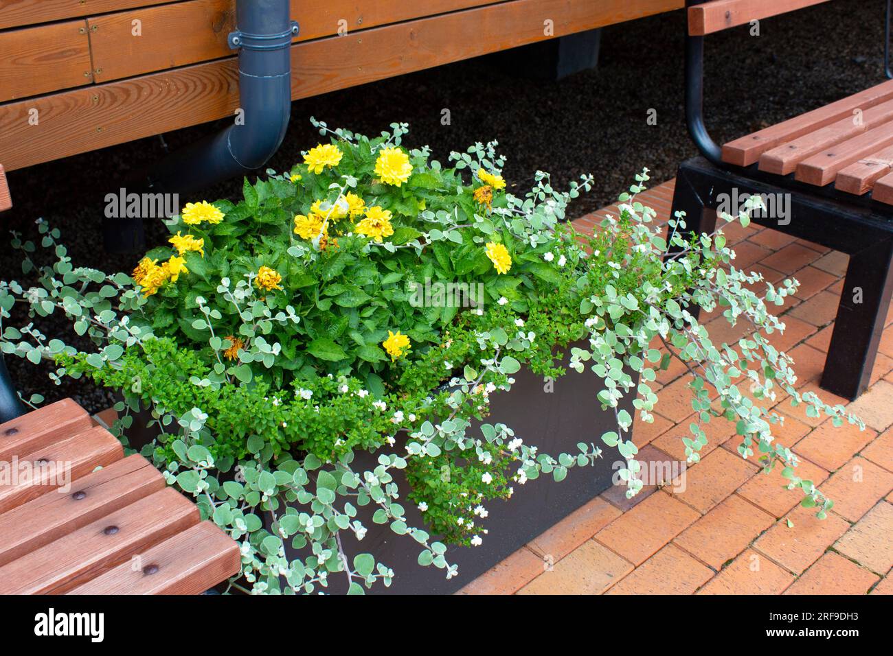Formal modern garden design hi-res stock photography and images - Alamy