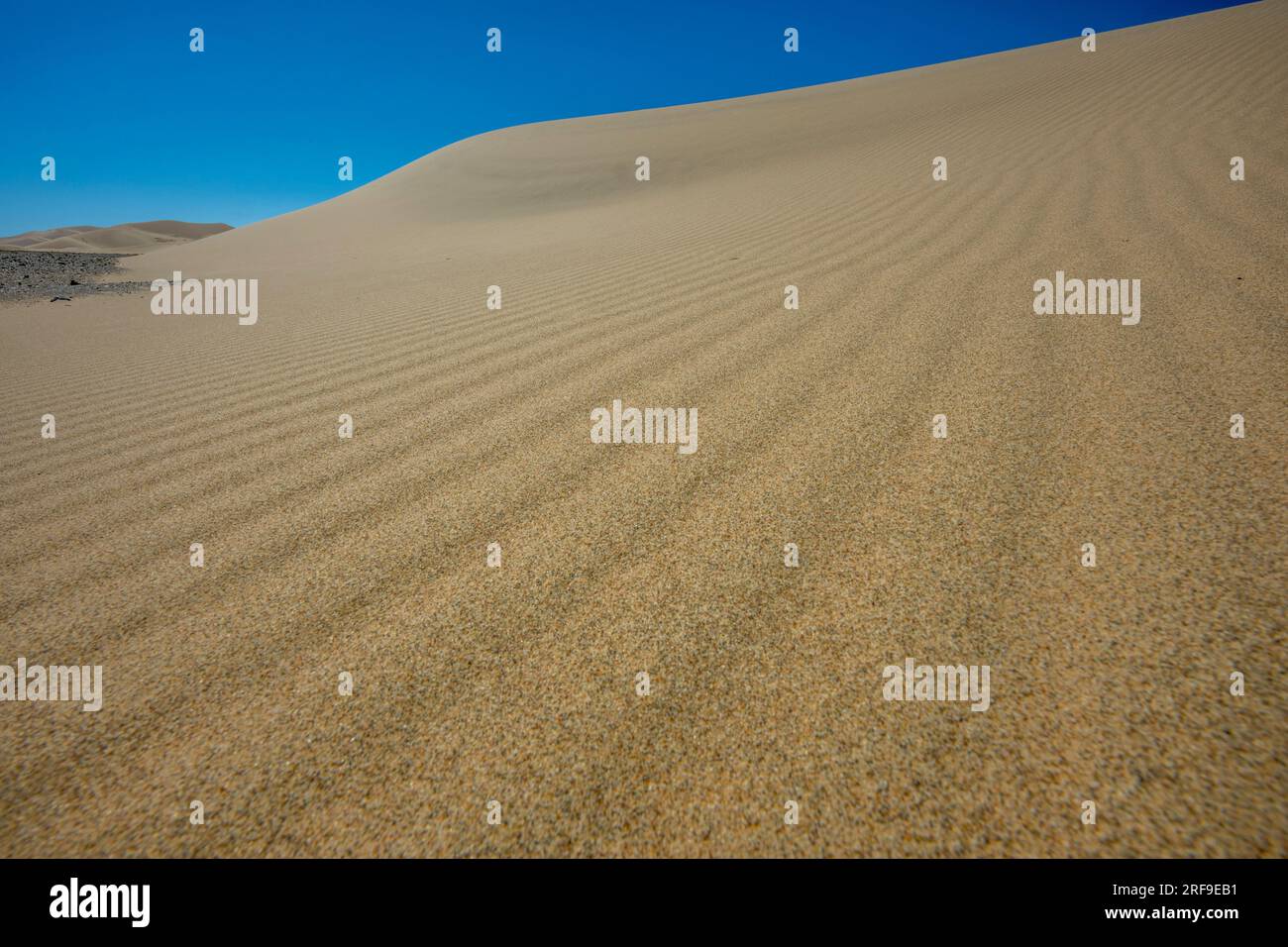 Ripples in the sand at one of the sand dunes at the Hongoryn Els sand ...