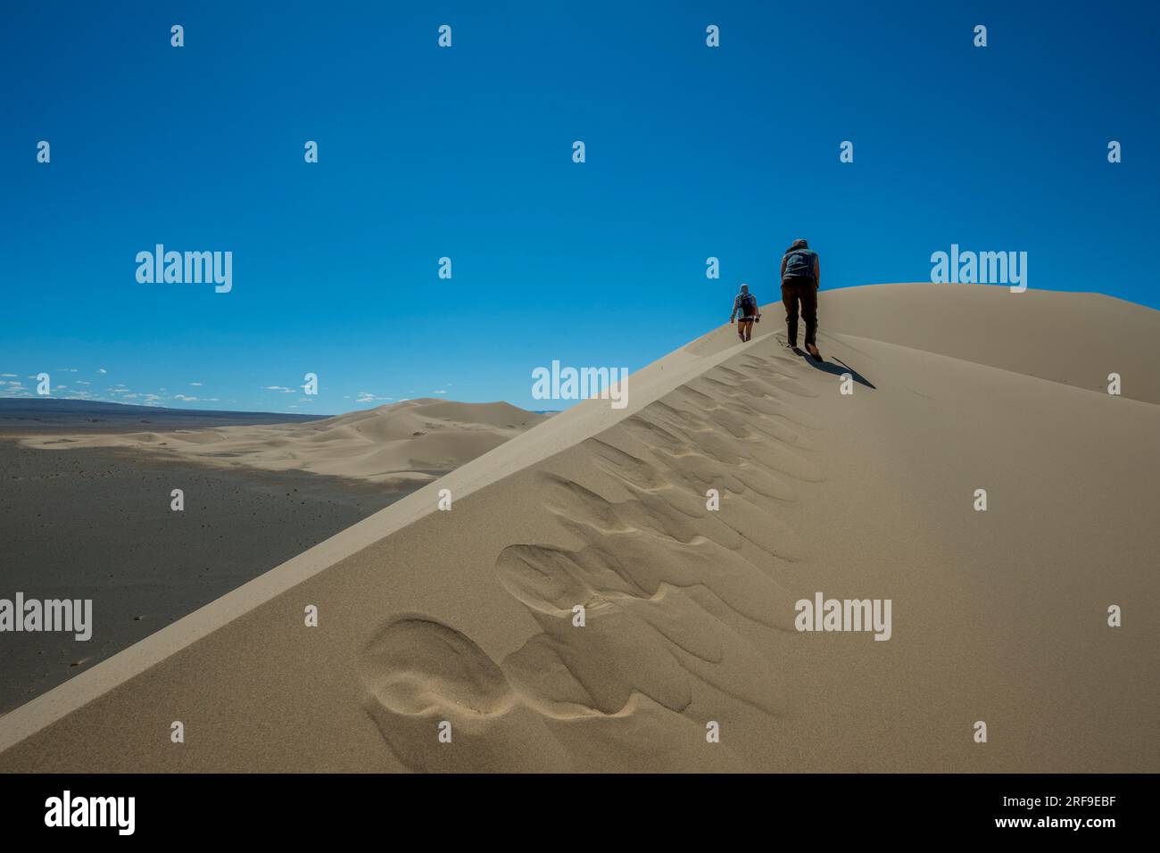 Tourists on one of the sand dunes at the Hongoryn Els sand dunes in the ...