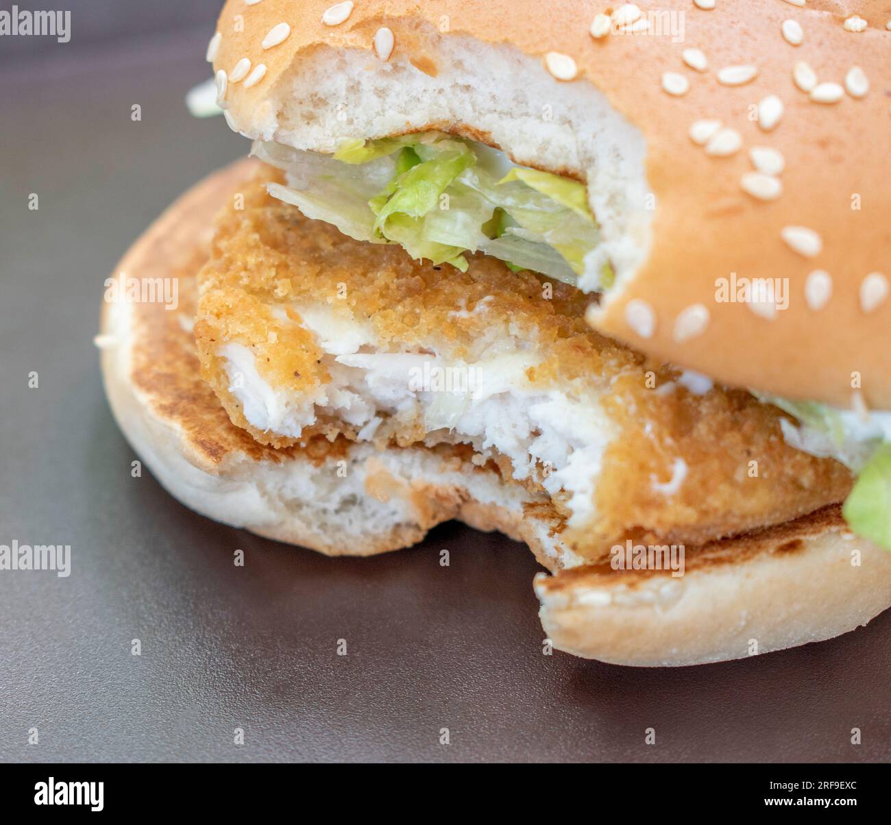 Chicken burger topped with fresh lettuce, served against a stunning ...