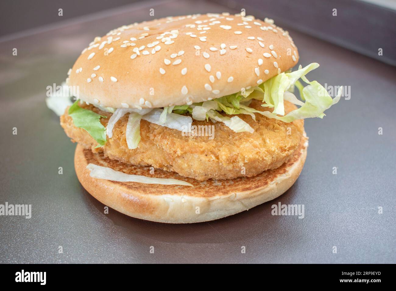 Chicken burger topped with fresh lettuce, served against a stunning ...