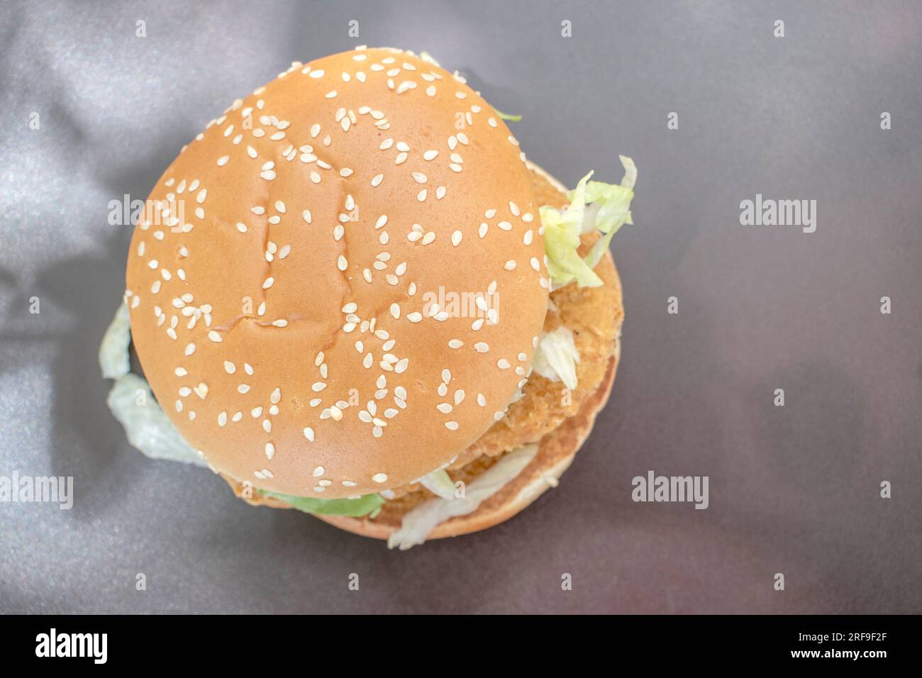 Chicken burger topped with fresh lettuce, served against a stunning ...