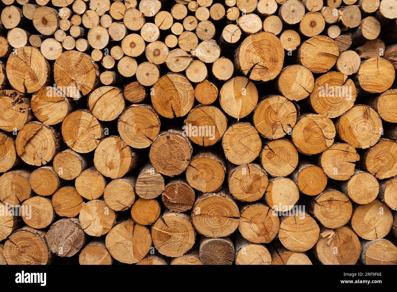 Small and medium-sized logs are stacked for winter use Stock Photo - Alamy