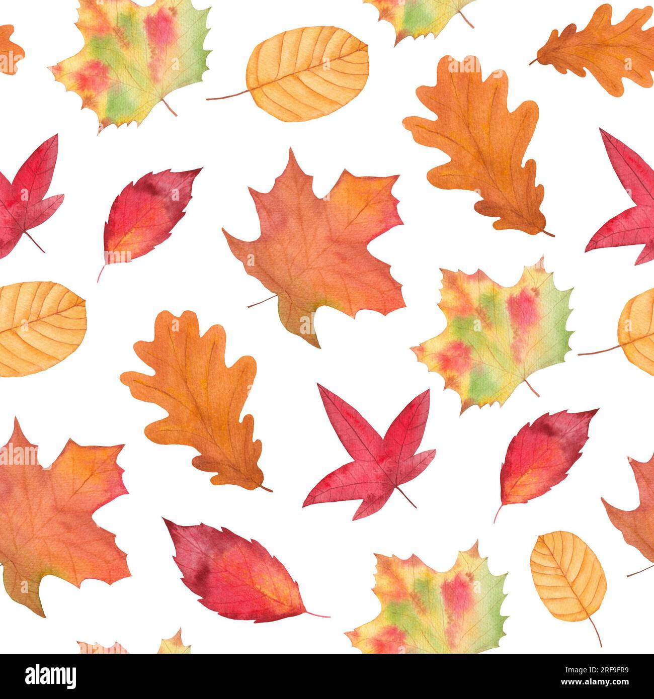 Watercolor Autumn Fall Seamless Pattern. Leaf Pattern. Botanical ...