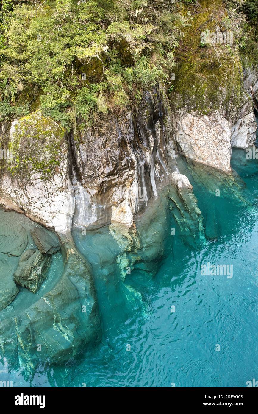 Nestled among mature beech and podocarp forest, these pools of deep ...
