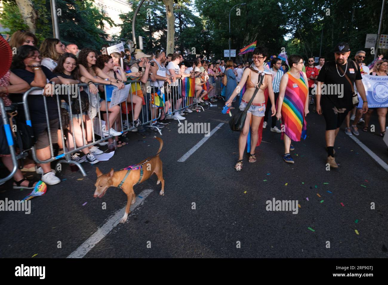 The Lgtbi Pride 2023 The Lgbtiq Lesbian Gay Bisexual Transgender