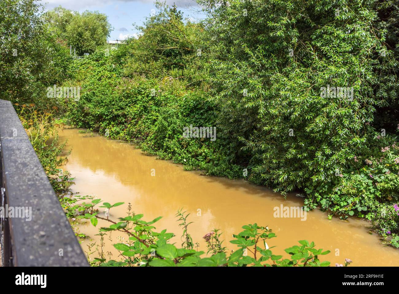 Sediment in river hi-res stock photography and images - Alamy