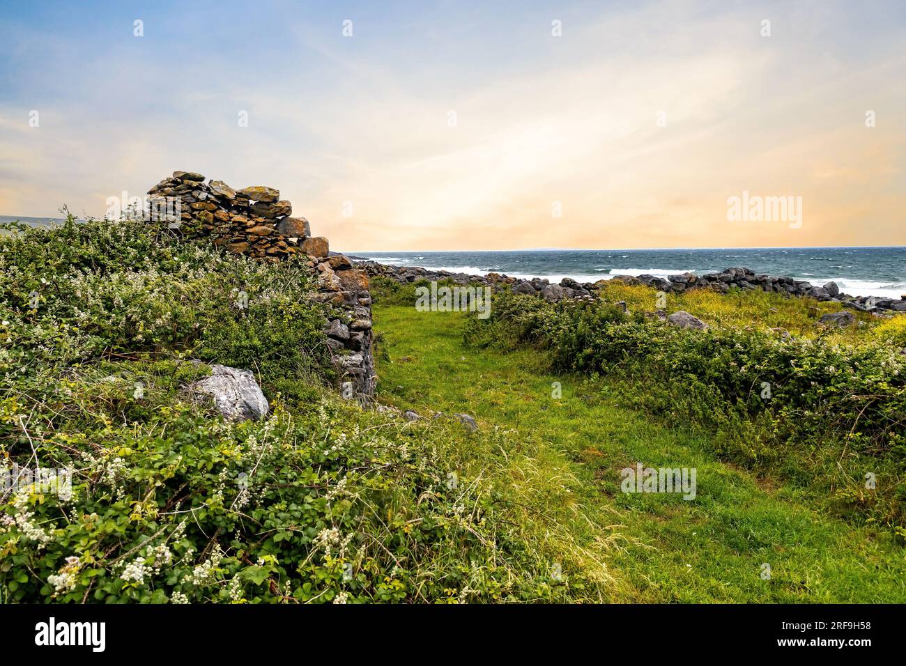 Old Irish celtic buildings stone ruins at coastline in summer Stock ...