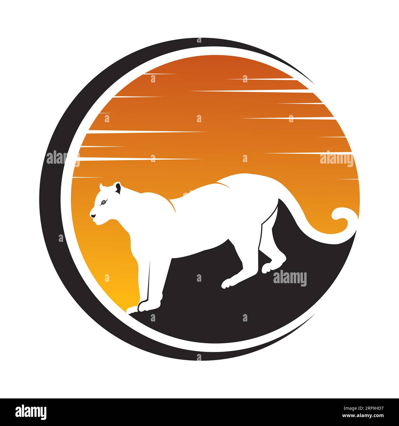 Tiger icon vector illustration template design Stock Photo - Alamy