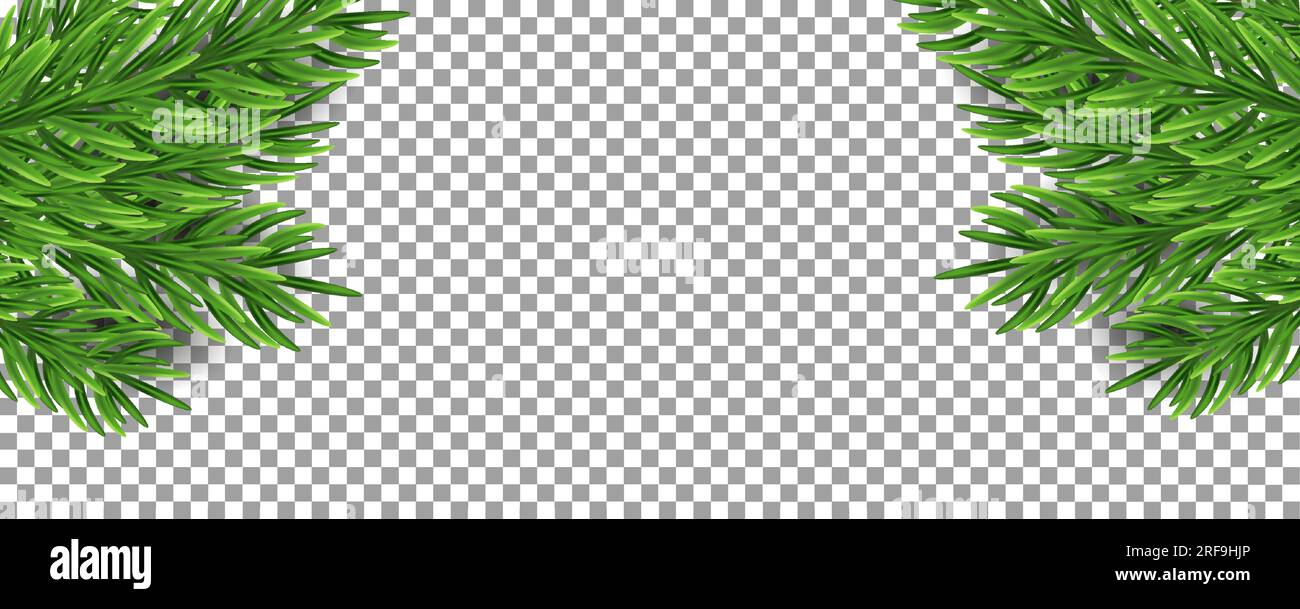 Green fir branches, decoration for Christmas and New Year on a ...