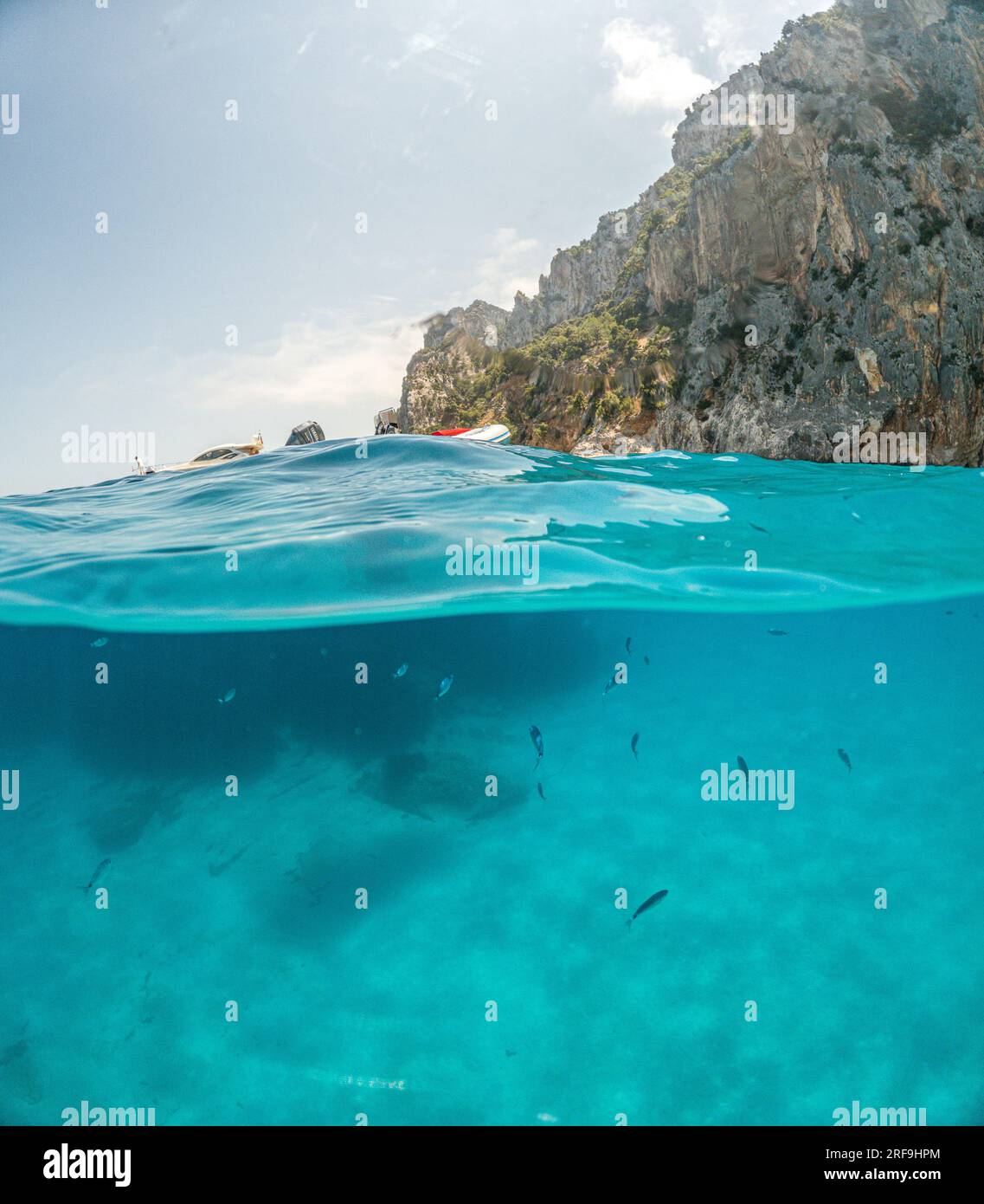 Halb unterwasser hi-res stock photography and images - Alamy